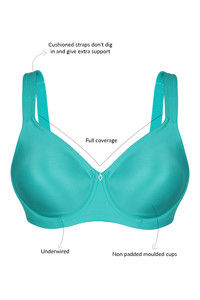 Zivame Plus High Strength Fabric Cup Wired Minimizer Bra-Green | buy ...